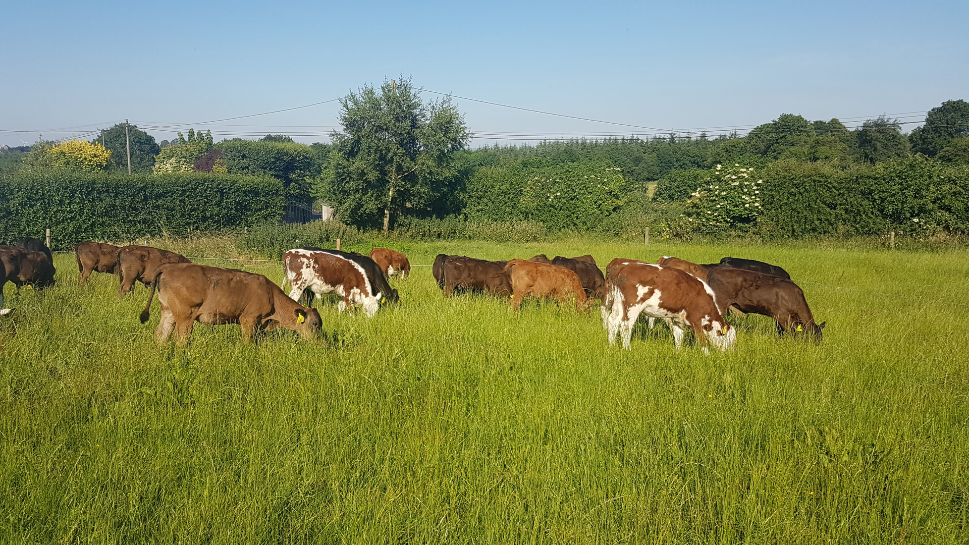 Help and Advice - Uniblock